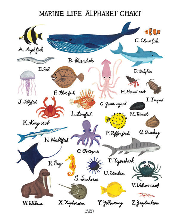 Marine Life Alphabet Chart - Studio 205